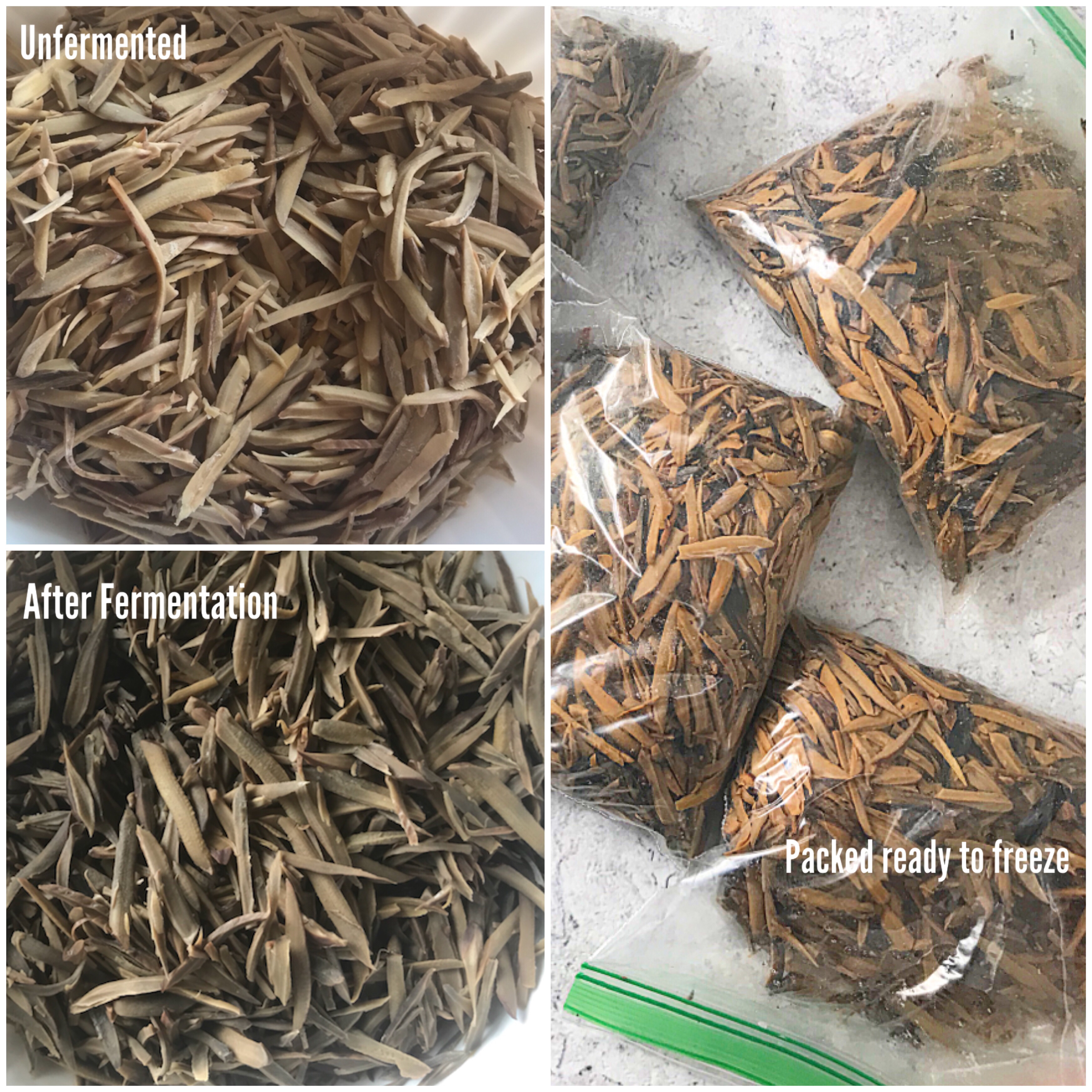 Fermenting Ugba/Ukpaka (African Oil bean seed) - My Diaspora Kitchen