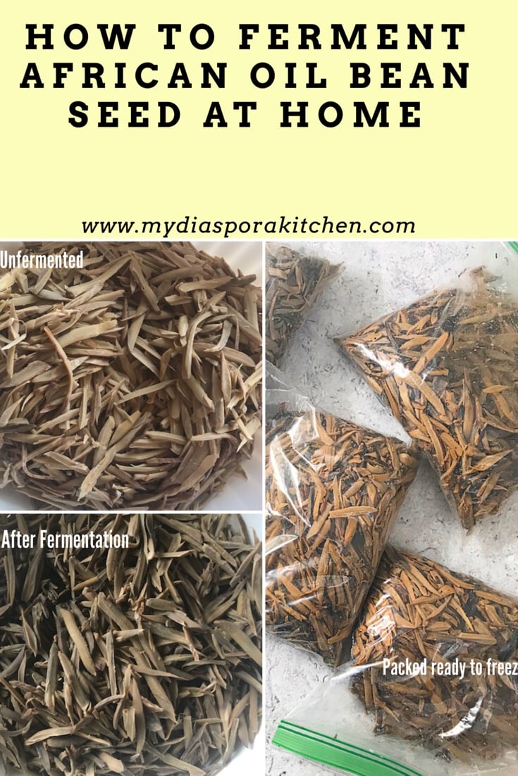 Fermenting Ugba/Ukpaka (African Oil bean seed) - My Diaspora Kitchen